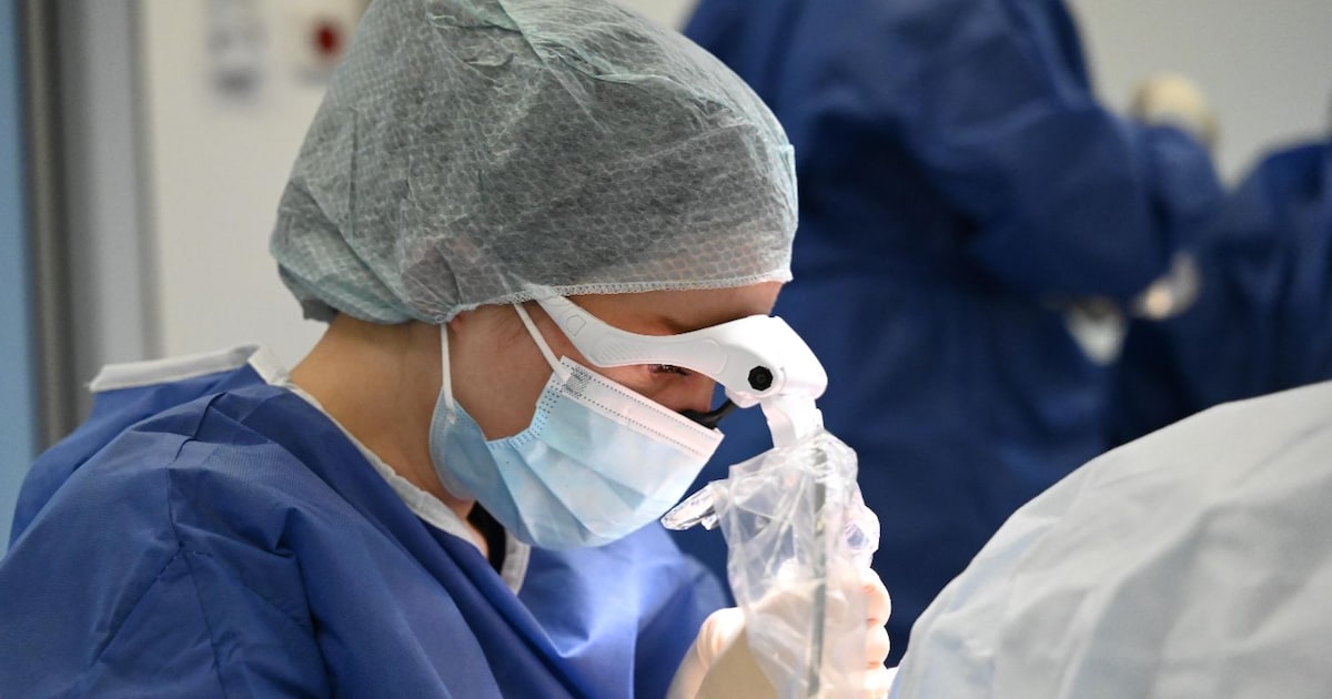 Steeds meer mensen kiezen voor een haartransplantatie: waar moet je op ...