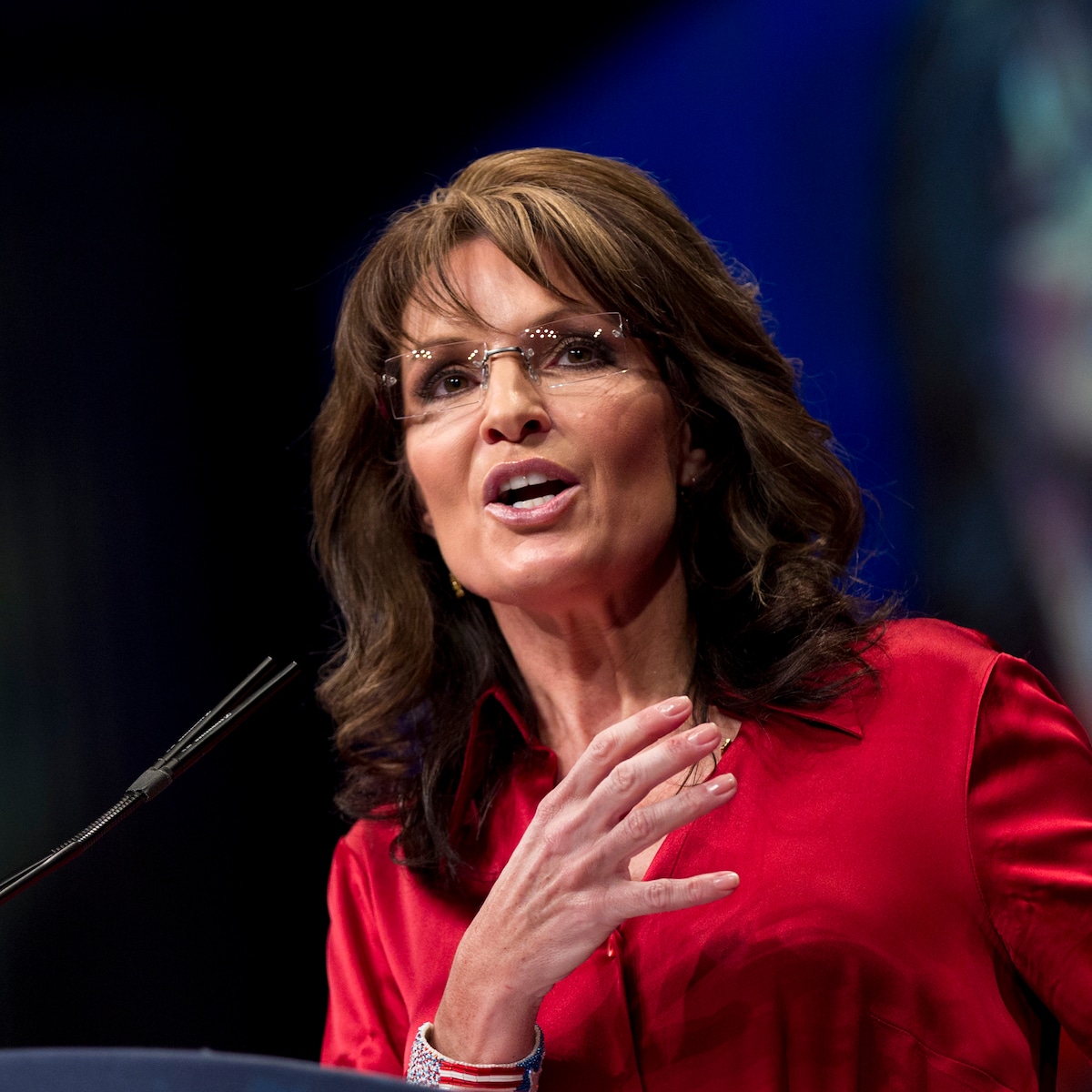 Sarah Palin Boinn