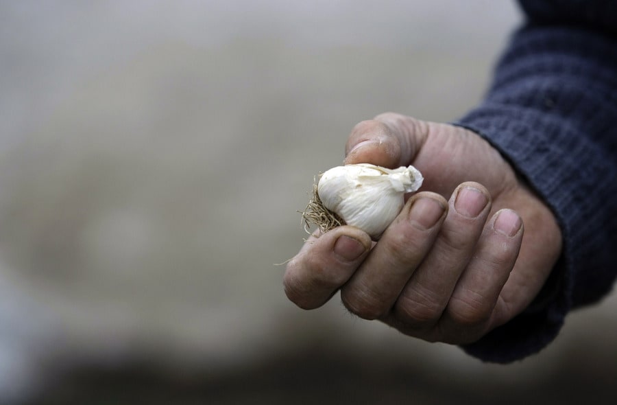 Servisch gehucht vreest toorn vampier | Het Parool