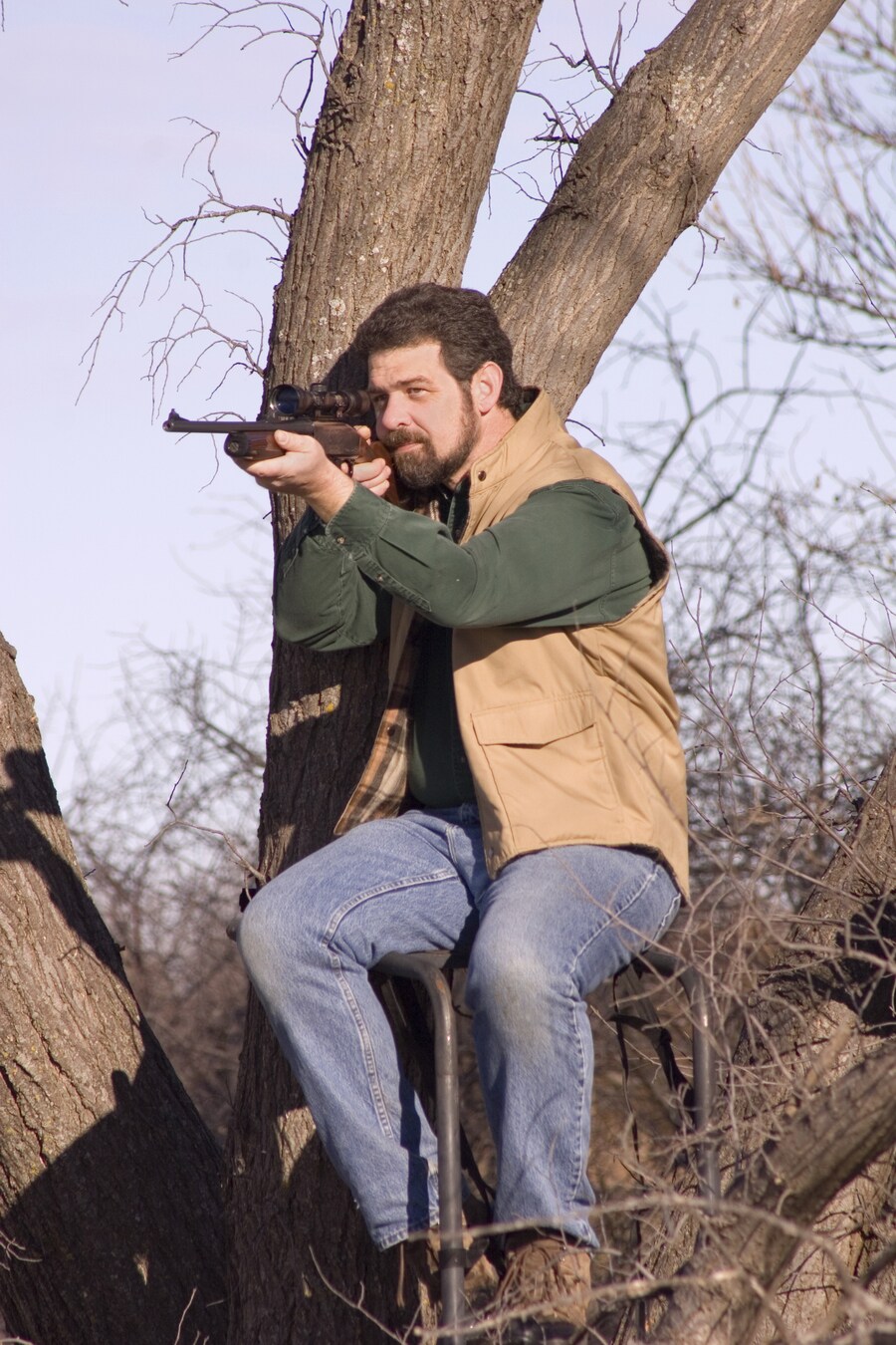 Kwart miljoen Zweden klaar voor elandenjacht | Het Parool