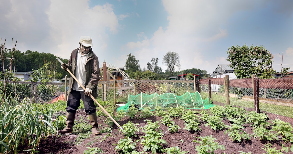 Opinie: ‘Eetcultuur stellig toe-eigenen maakt ons niet inclusiever ...